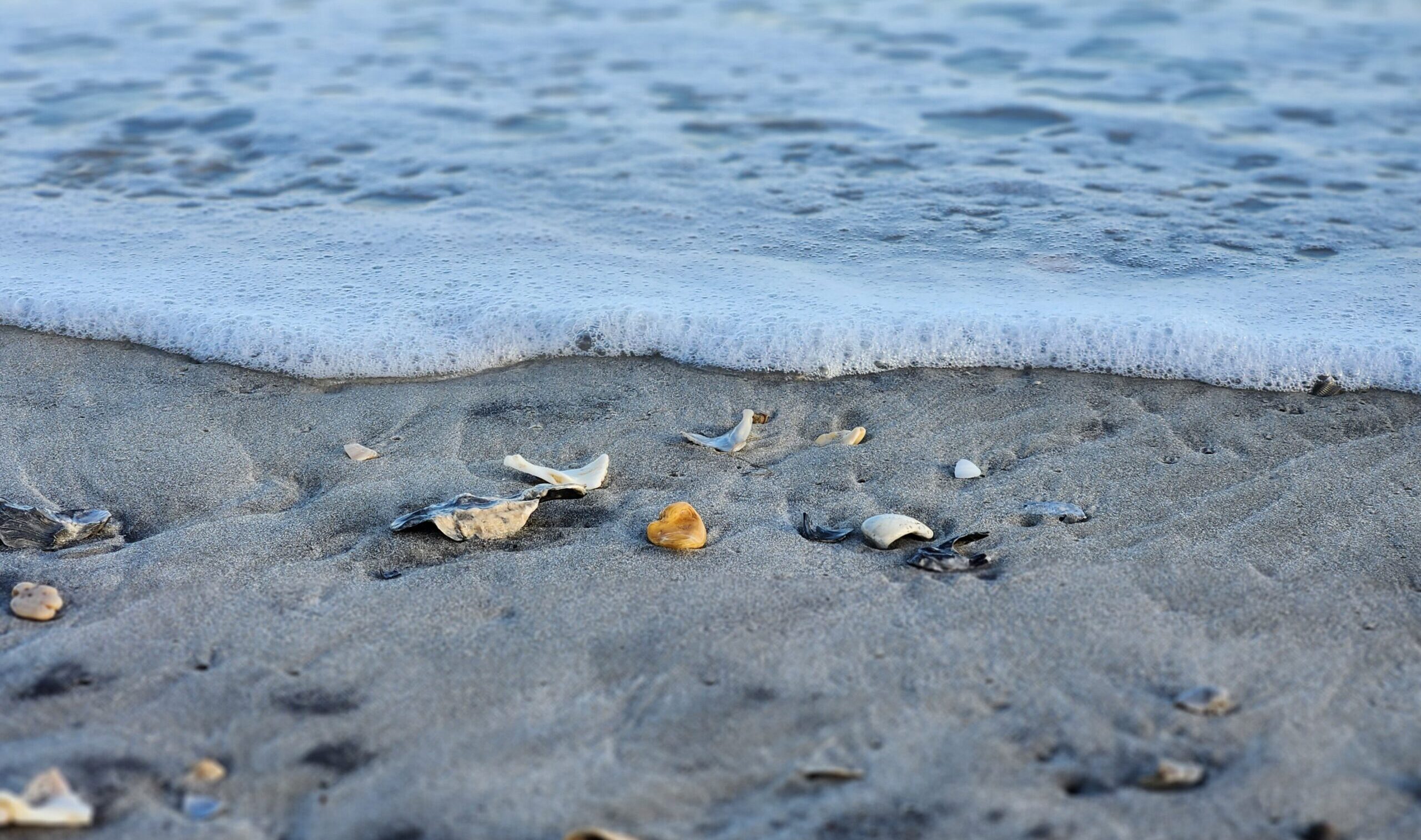 Women’s Beach Week – St. Paul's Episcopal Church